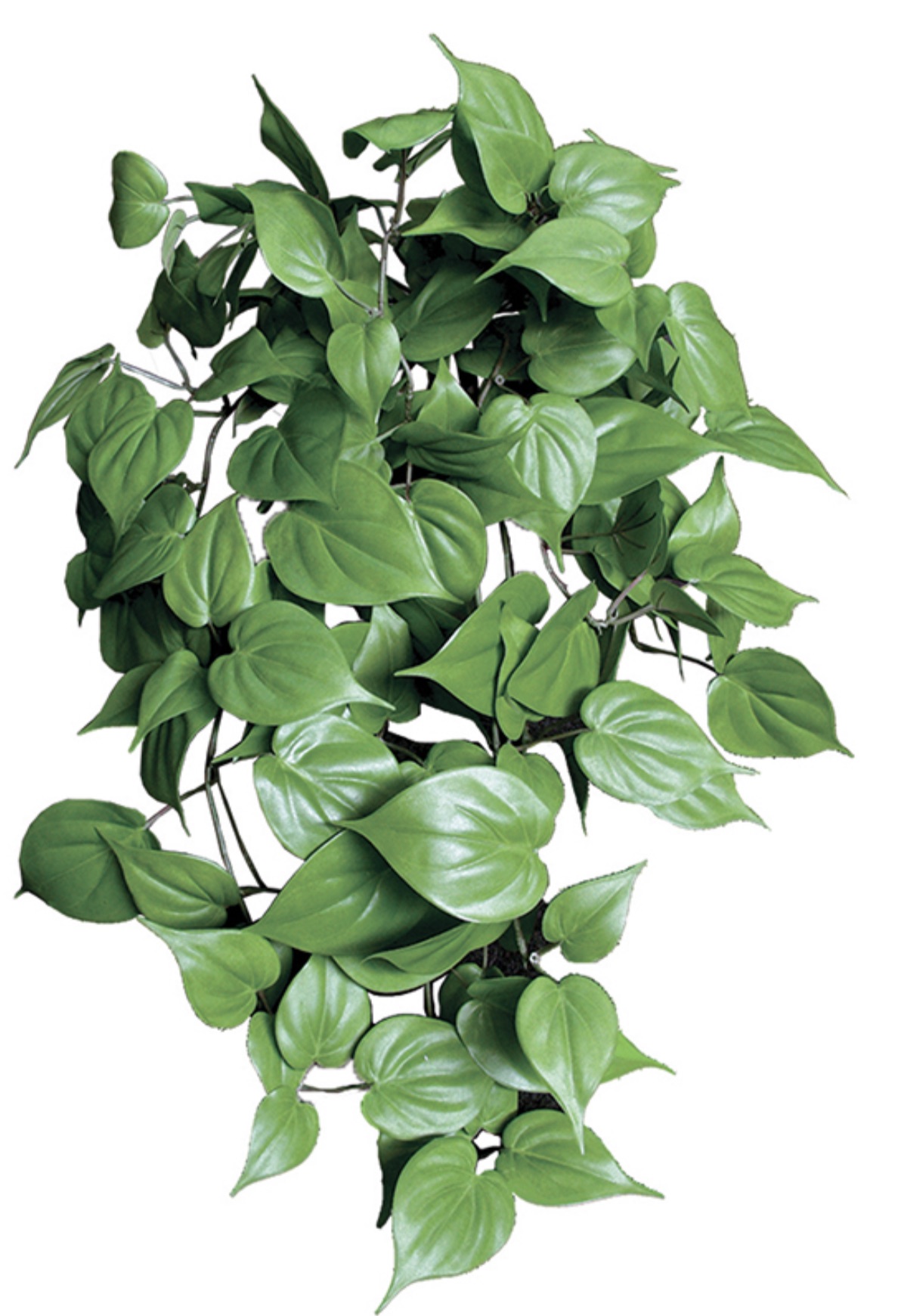 Earthflora > Fire Retardant Artificial Greenery > 30 Inch PHILODENDRON ... Earthflora > Fire Retardant Artificial Greenery > 30 Inch PHILODENDRON ...